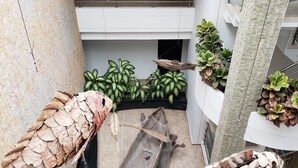 Pormenores do interior