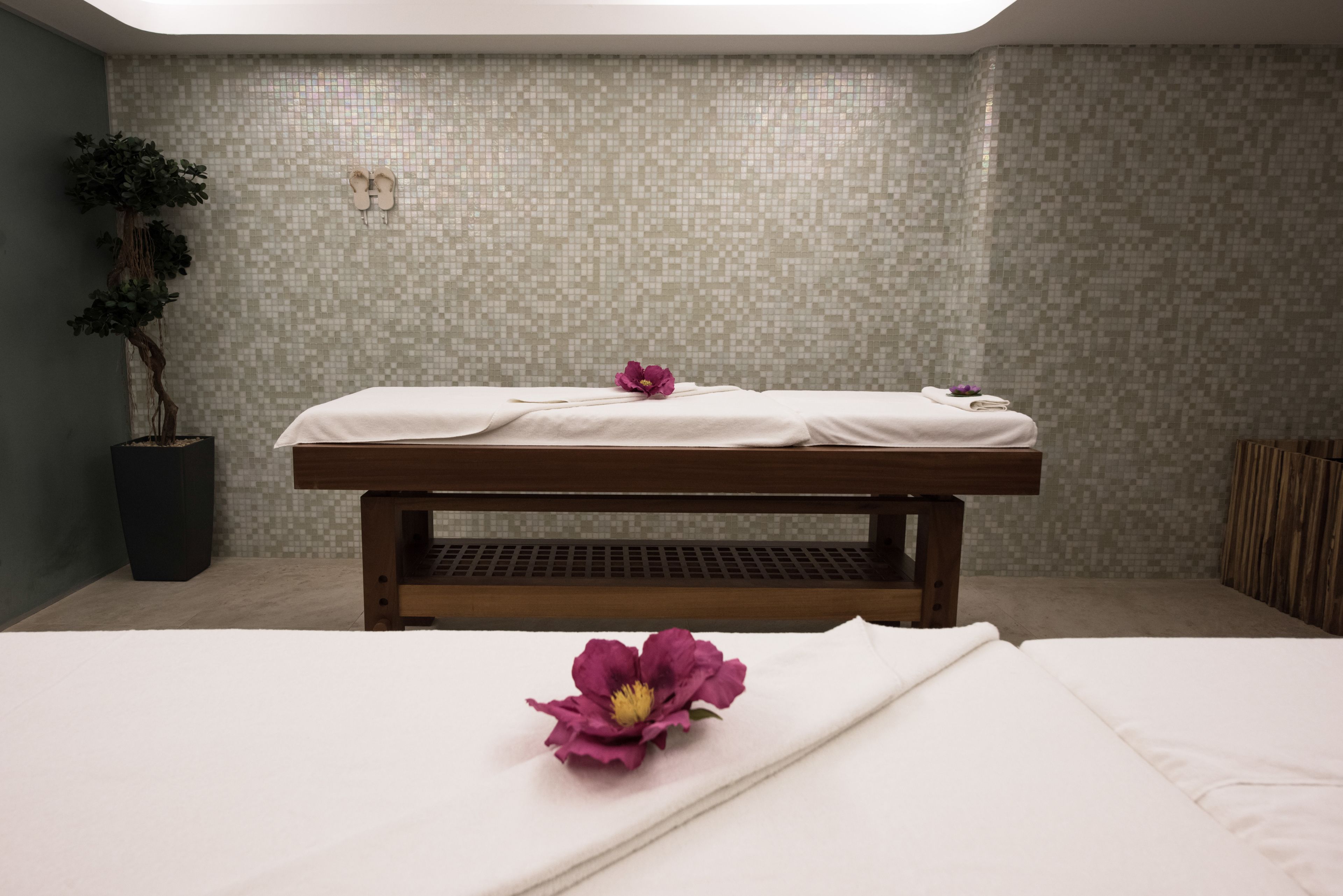 Um quarto de spa com uma mesa de massagem, uma planta em vaso e uma flor na cama.