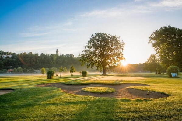 Um campo de golfe com uma grande árvore ao centro, rodeado por relva bem cuidada e bunkers de areia.