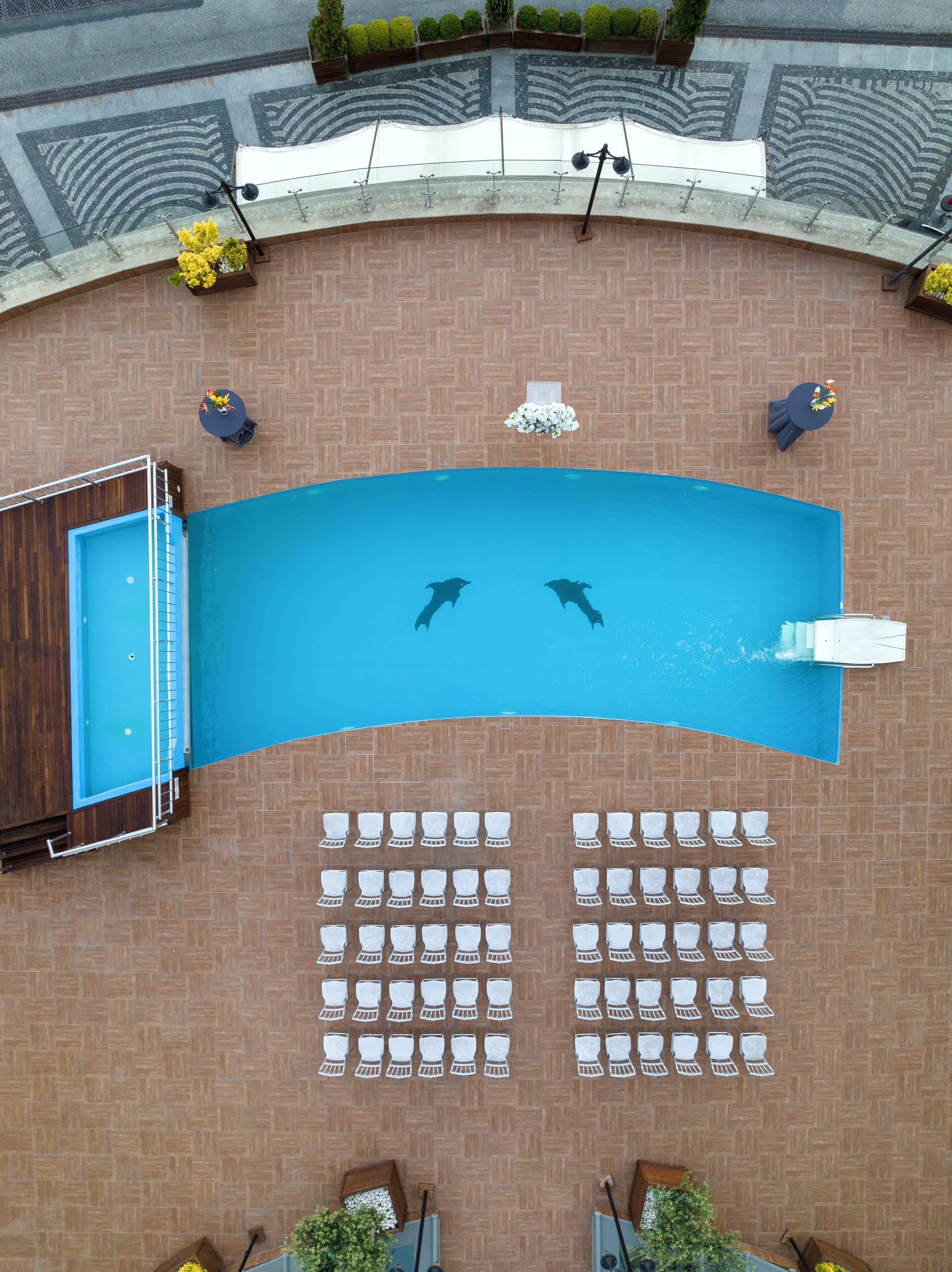 Piscina ao ar livre com dois golfinhos, rodeada por espreguiçadeiras e plantas em vasos.