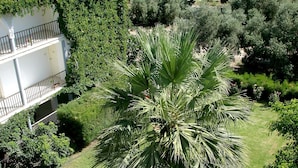 Um jardim exuberante com uma palmeira, um edifício branco com varandas e vista para o campo.