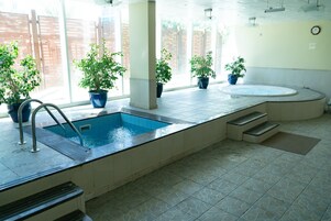 Área de piscina com escadas de acesso à água, cercada por plantas em vasos e piso cerâmico.
