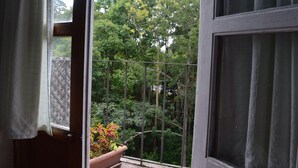 Uma varanda com vista para uma floresta densa.