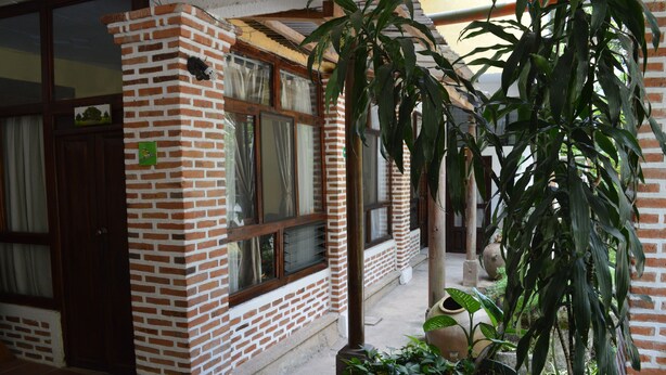 Um edifício de tijolos com janelas amplas e um alpendre coberto com vasos de plantas.