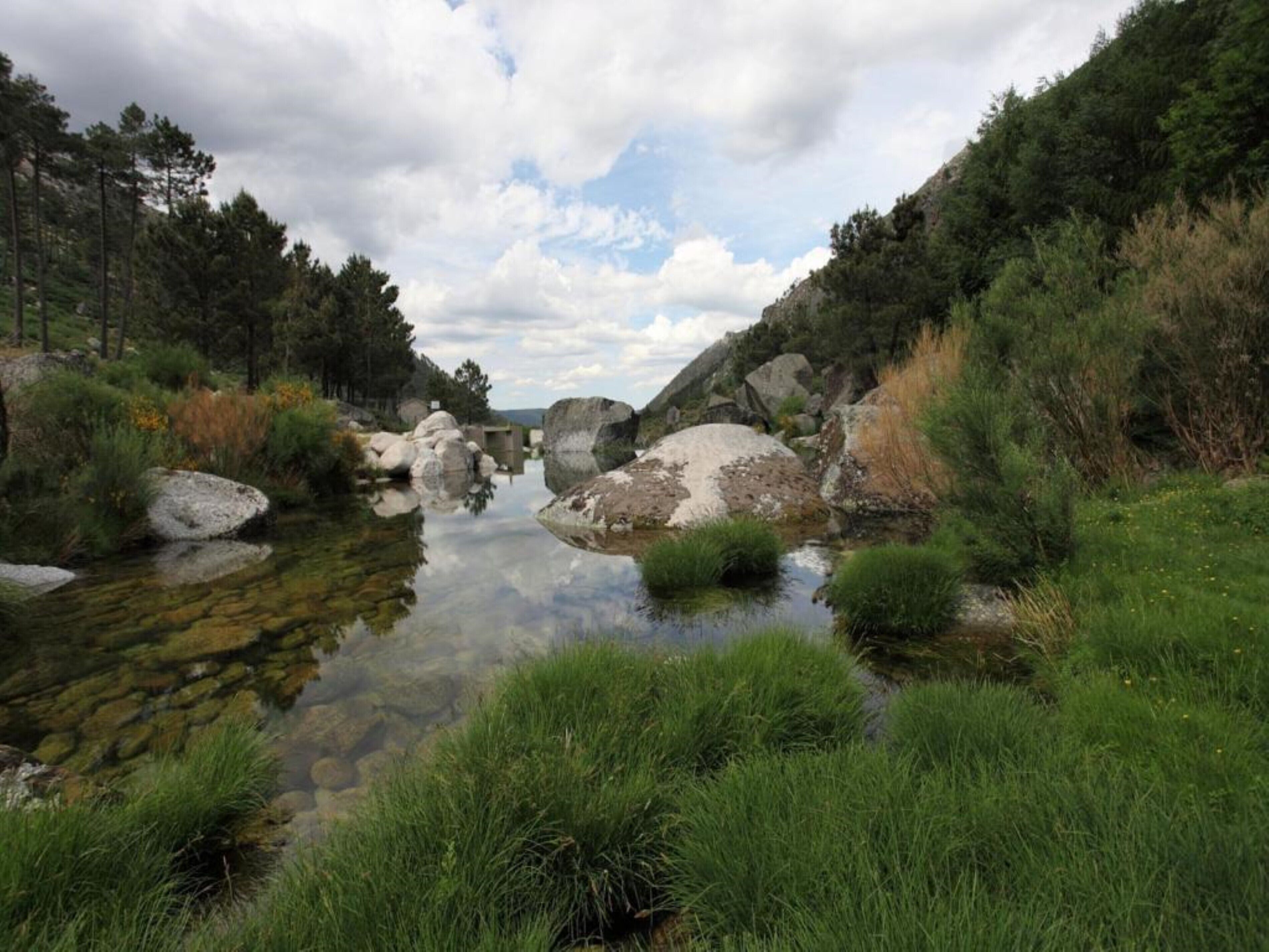 Paisagem natural com um riacho límpido, rodeado por vegetação e pedras.