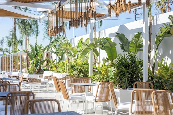 Terraço/pátio interior