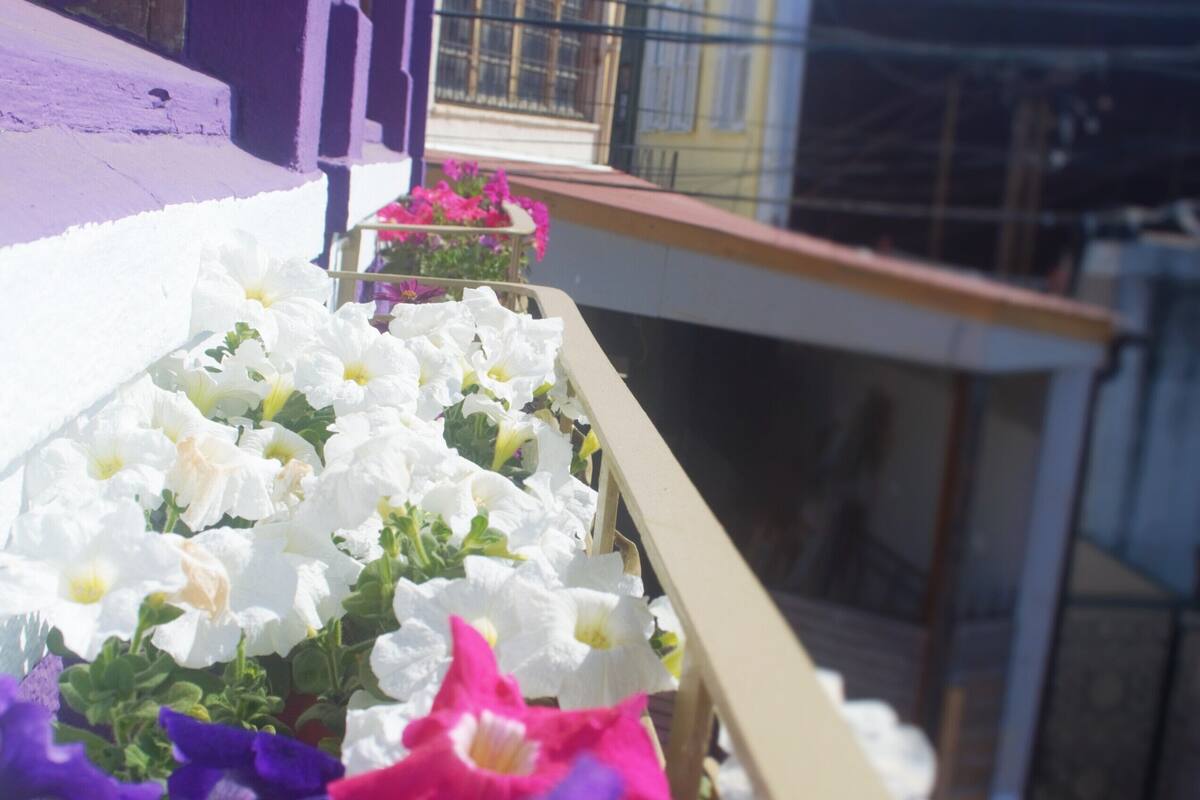 Uma varanda com flores brancas e roxas, uma parede roxa e vista para prédios ao fundo.