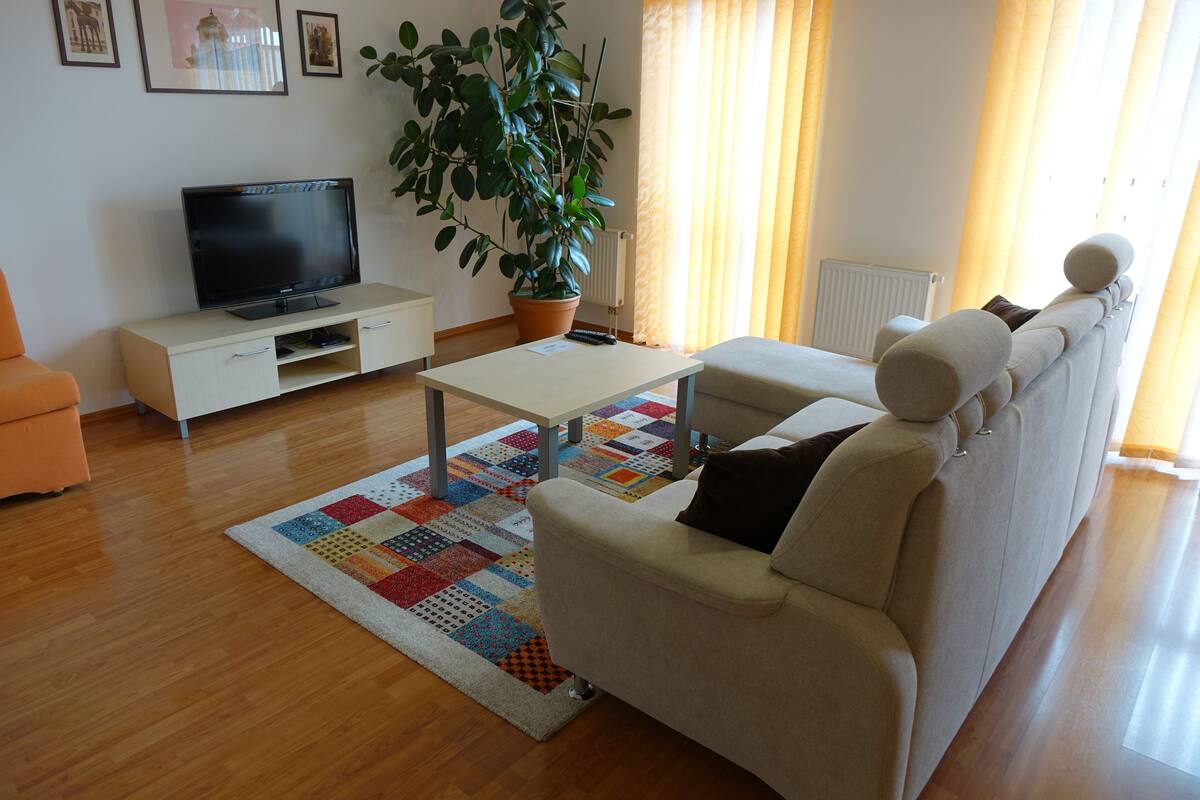 Uma sala de estar com sofá, televisão em móvel, planta em vaso e tapete colorido.
