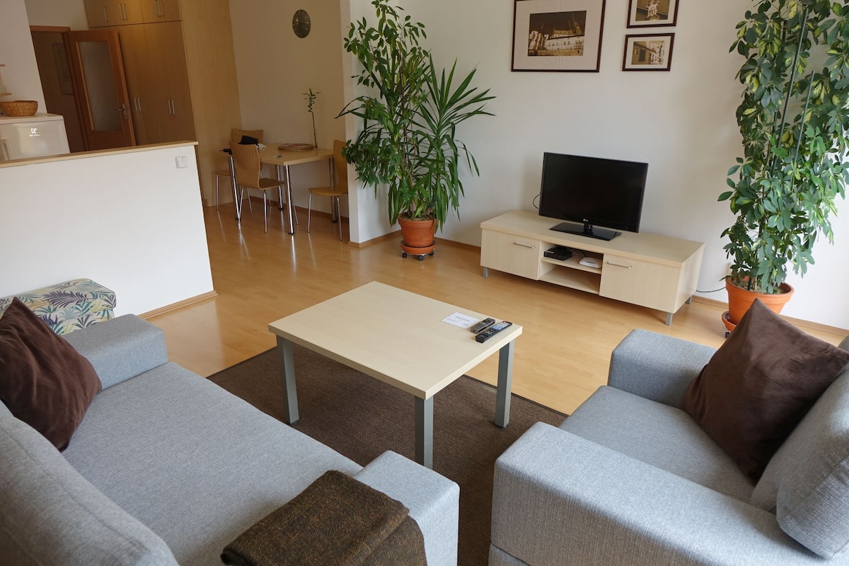 Uma sala de estar moderna com sofás cinzas, uma mesa de centro, uma TV em um suporte e duas plantas em vasos.
