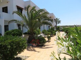 Pormenores do exterior