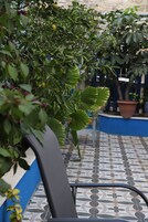 Terraço/pátio interior