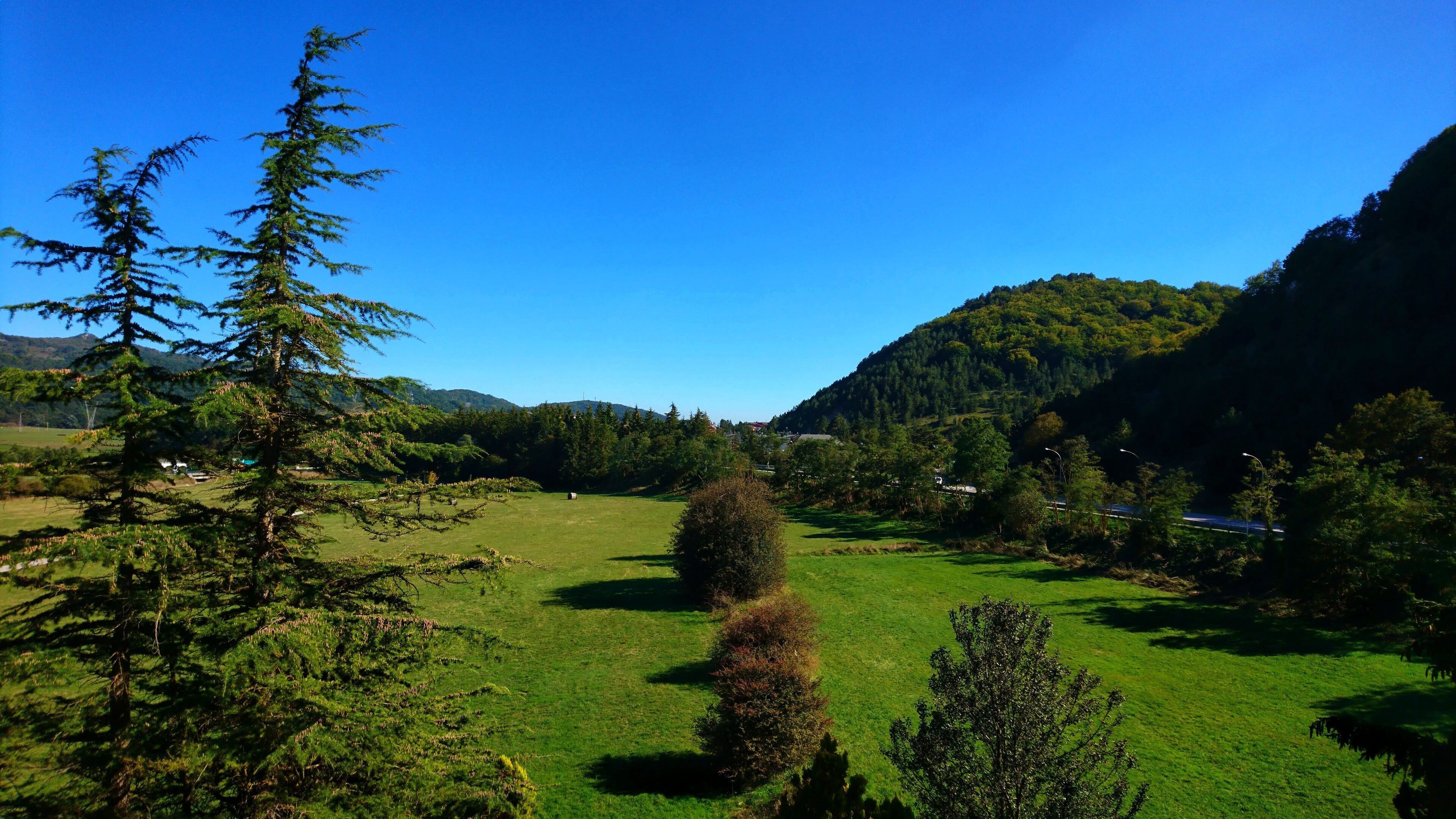 Paisagem montanhosa com céu claro, um campo verde e árvores.