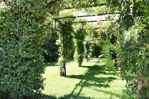 Jardim