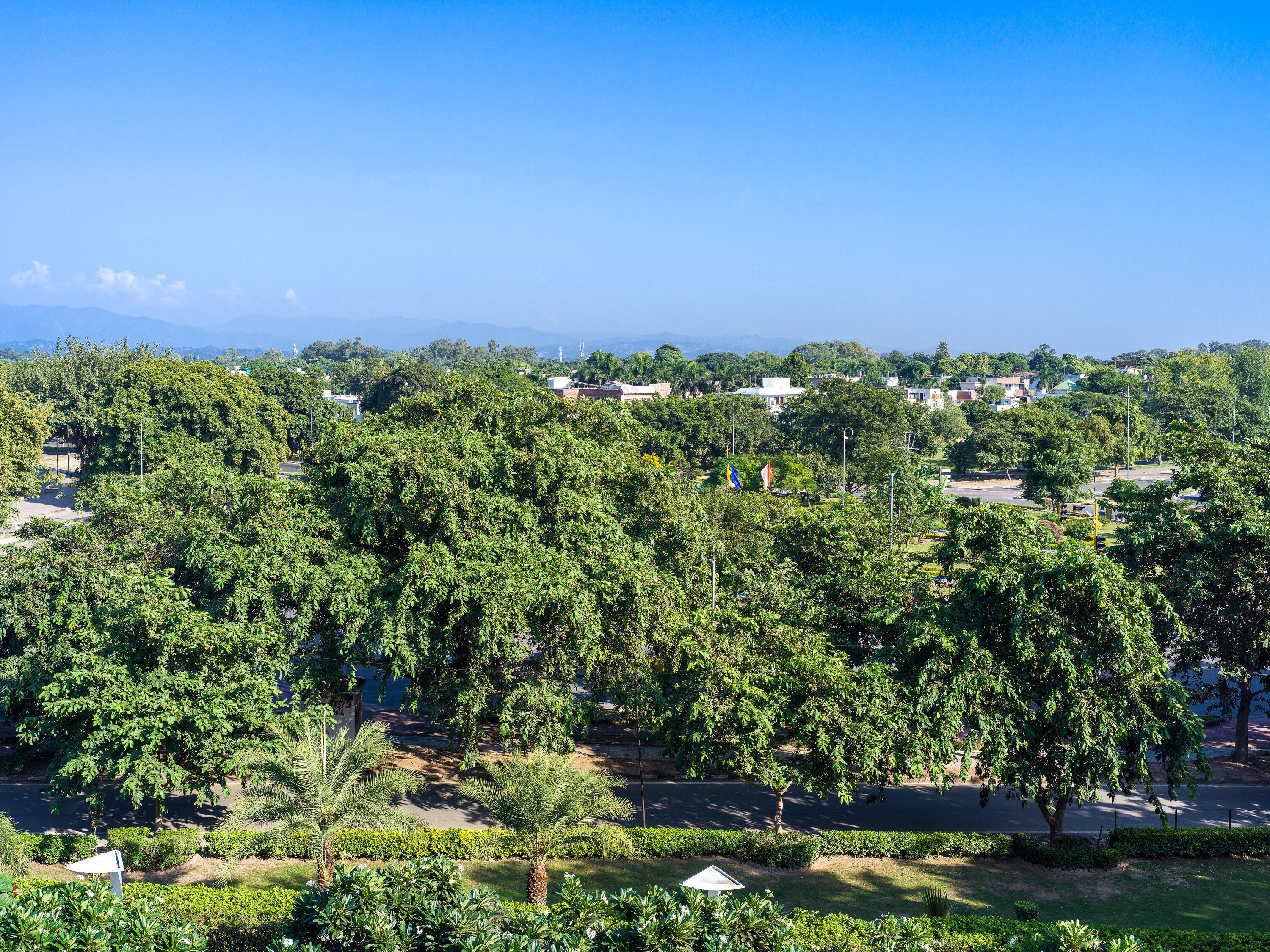 Um parque verdejante com árvores e um céu azul límpido.