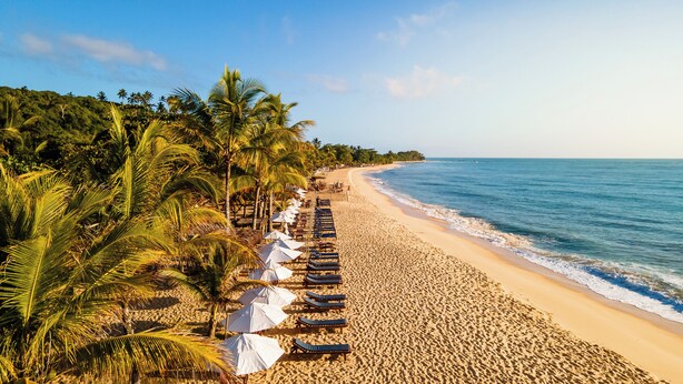 Uma praia com fileiras de espreguiçadeiras e guarda-sóis, palmeiras e uma vista ampla do oceano.