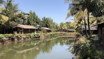 Vista para o lago