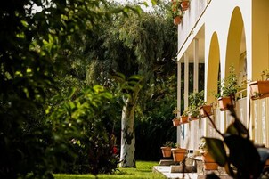 Área da propriedade