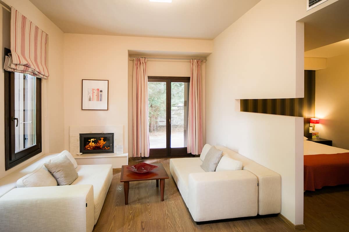 Uma sala de estar moderna com lareira, um sofá, uma mesa de centro e uma cama.