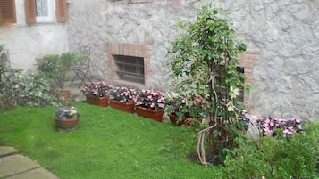 Jardim