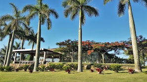 Jardim