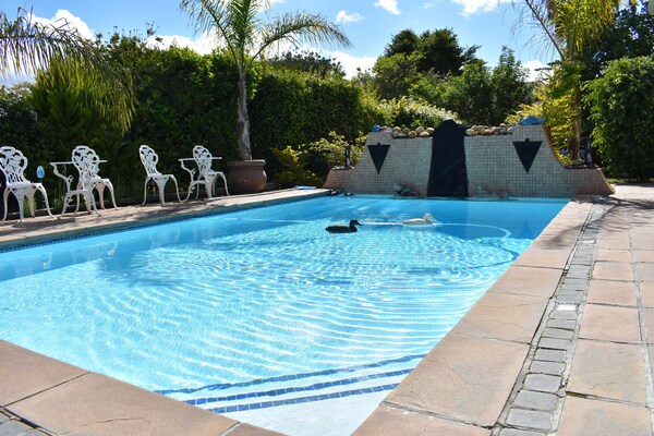 Paradiso Guest House - Cape Town