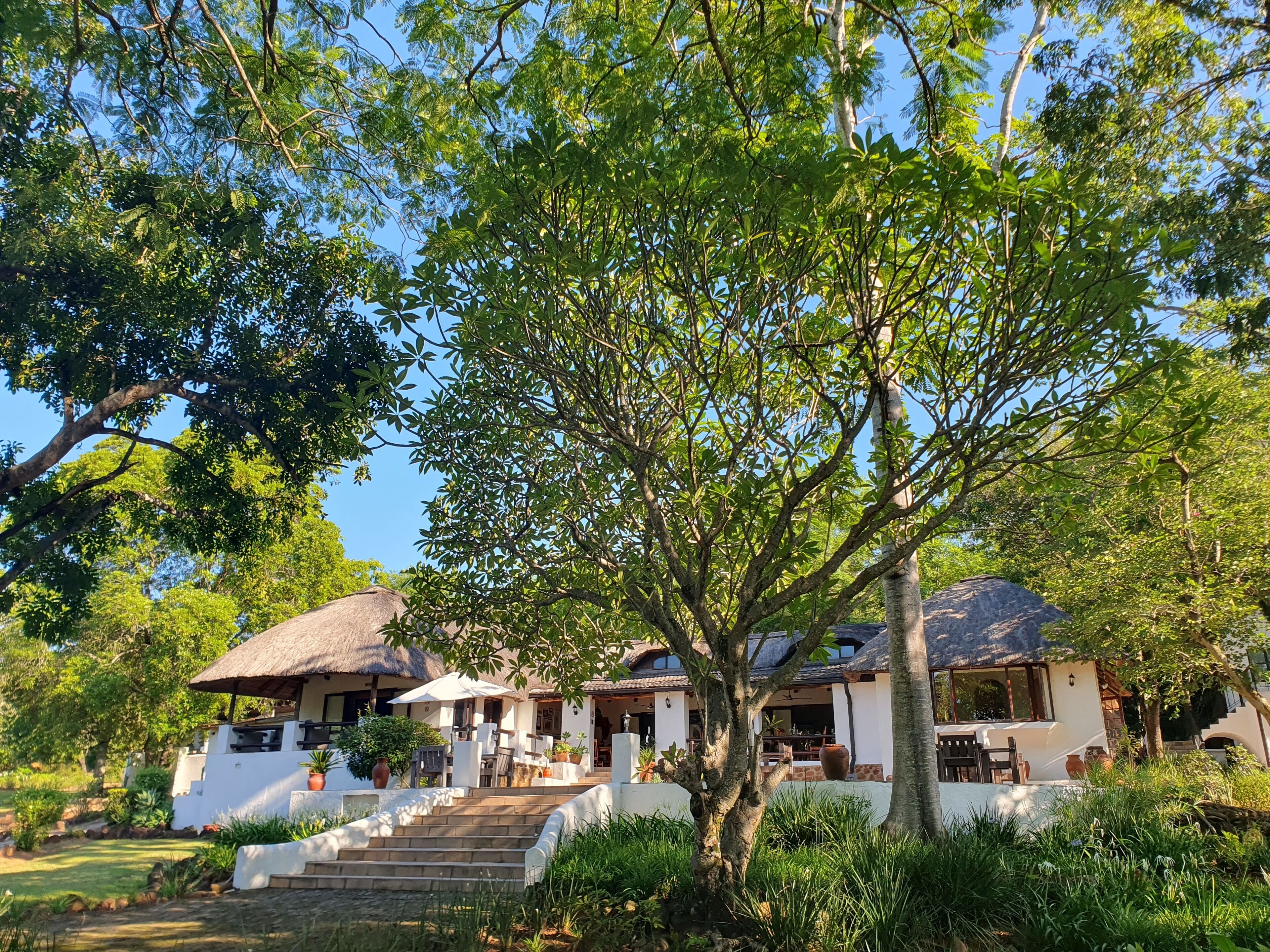 Uma villa com telhado de colmo, rodeada por vegetação exuberante e árvores.