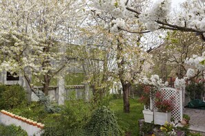 Vista para o jardim