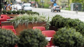 Mobiliário de exterior com cadeiras vermelhas e vasos com plantas verdes.
