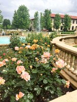 Jardim