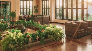 Um quarto amplo com grandes janelas, teto de madeira e diversos vasos de plantas.