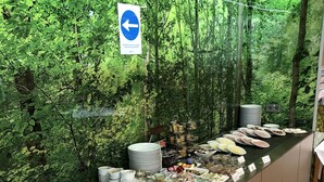 Buffet com diversas opções de comida e bebidas, com uma parede decorada em tema de floresta ao fundo.