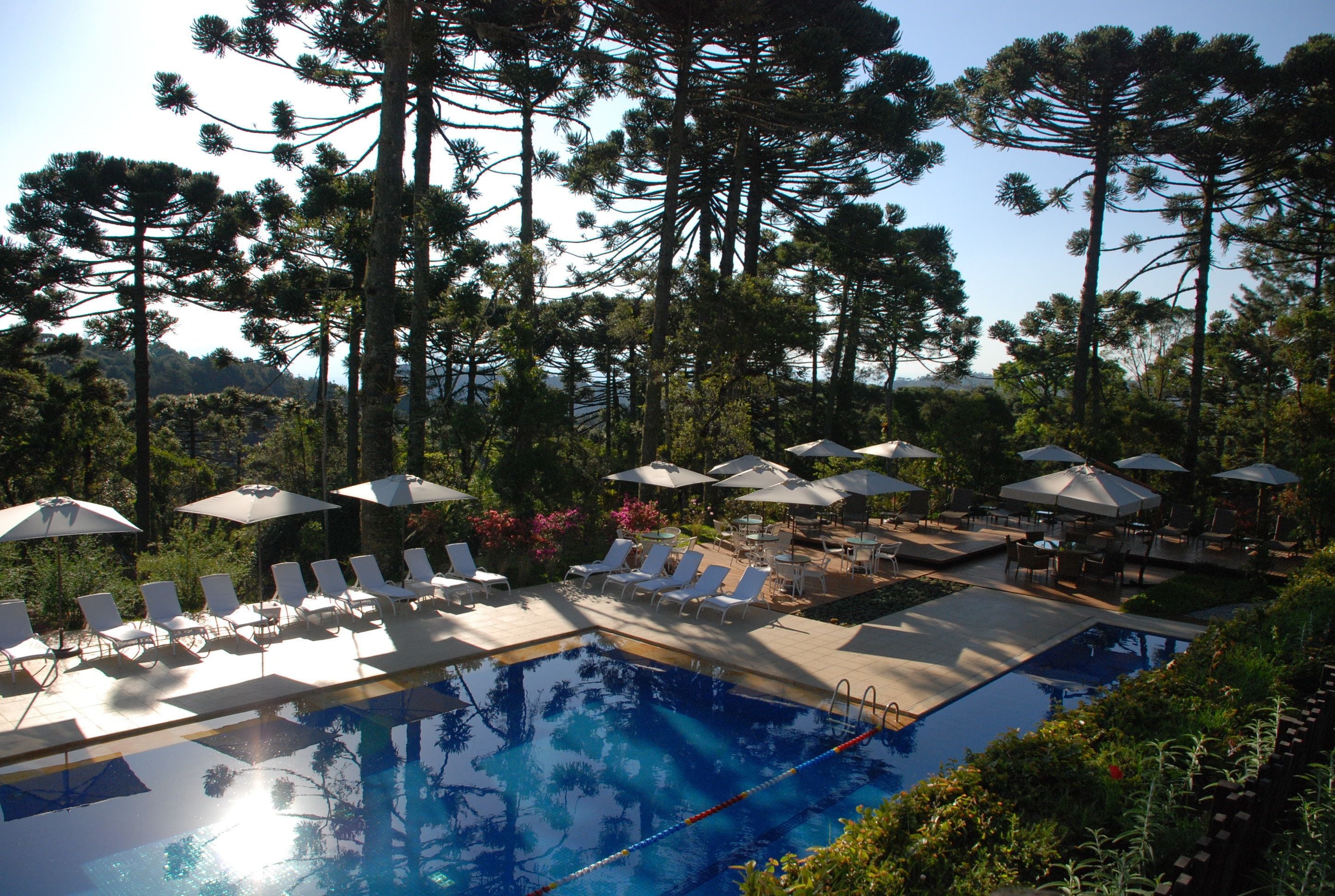 Piscina exterior, guarda-sóis, espreguiçadeiras 
