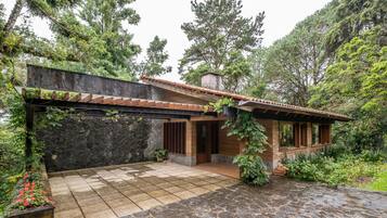Uma casa moderna com fachada de pedra, um pátio com azulejos e vegetação exuberante ao redor.