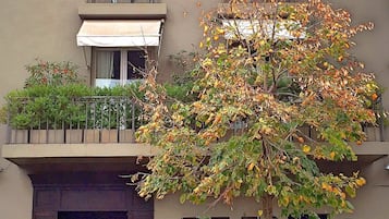 Fachada do alojamento