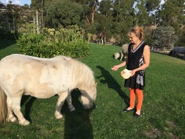 Uma mulher alimentando um cavalo branco em uma área gramada, com árvores e outros cavalos ao fundo.