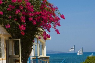 Vista para a praia ou o mar