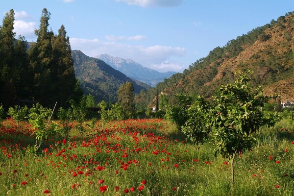 Pastoral Vadi - Fethiye