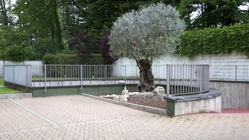 Pátio