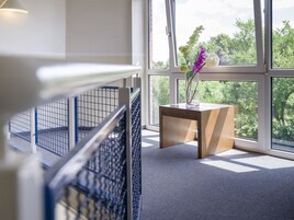 Comodidade do alojamento