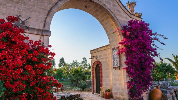 Um arco de pedra com uma janela circular, rodeado por plantas floridas vermelhas e roxas, que dá acesso à entrada de um edifício.