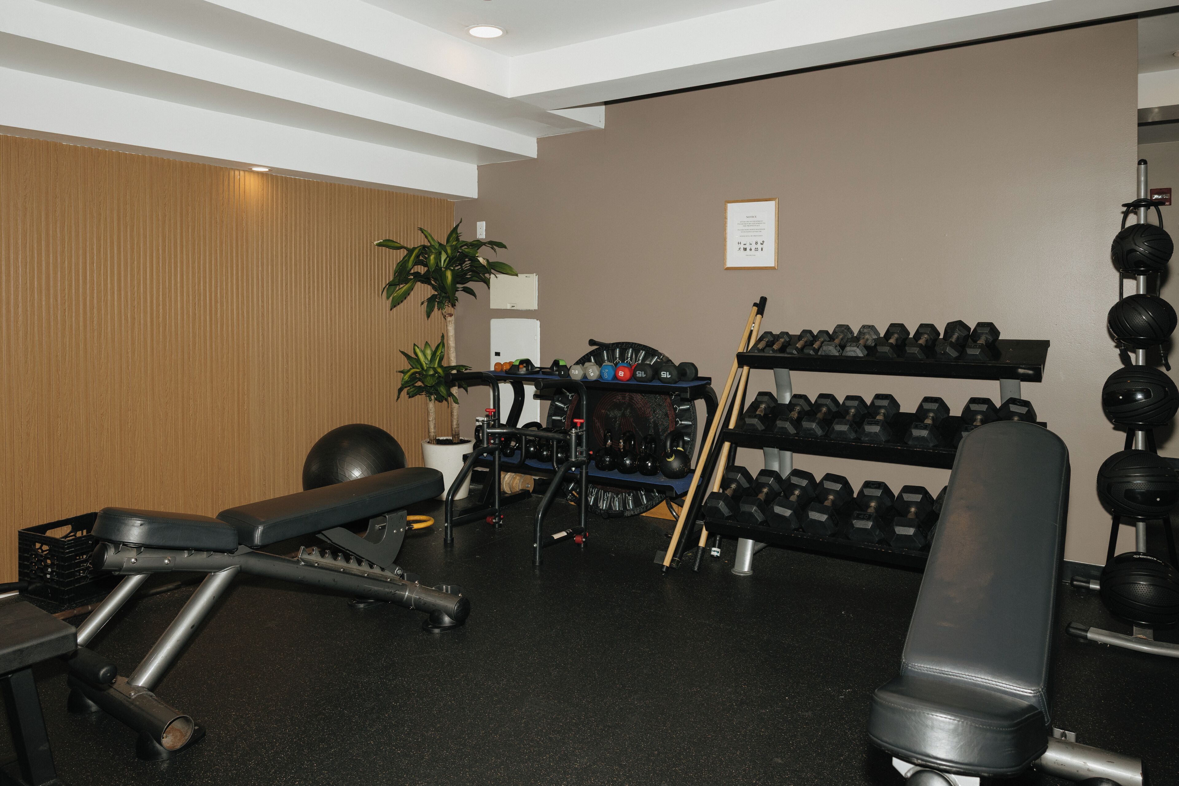 Uma academia com equipamentos de ginástica, halteres e um banco.
