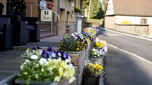 Cachepots com flores ao longo da calçada.