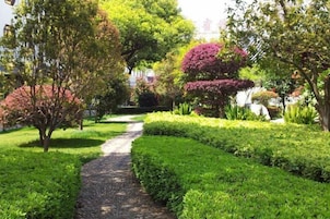 Jardim