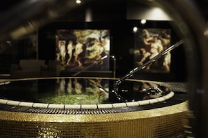 Piscina interna