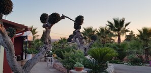 Um jardim bem cuidado com árvores de topiaria originais, um caminho e área de estar externa.
