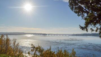 Um rio calmo com uma ponte ao longe, rodeado por árvores e céu claro.