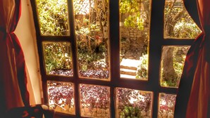 Janela com vários painéis, cada um mostrando um jardim com diversas plantas e um muro de pedra.