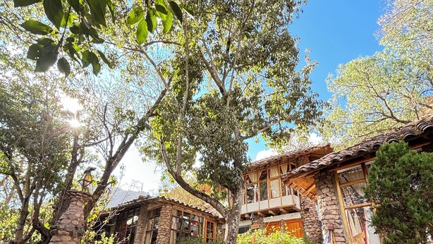 Uma casa de pedra rústica com uma escadaria de pedra que leva a uma porta de madeira, rodeada por vegetação exuberante e plantas floridas.
