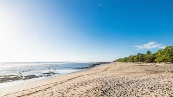 Uma praia com céu claro, areal arenoso e uma faixa de árvores.