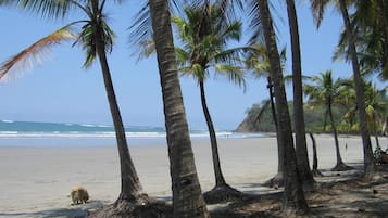 Perto da praia, areia preta, serviço de traslado de/para a praia